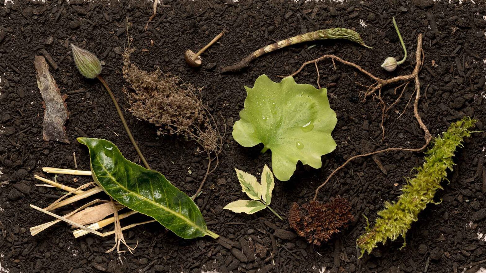 You Can Now Add Compost A Body To The List Of After Death Services