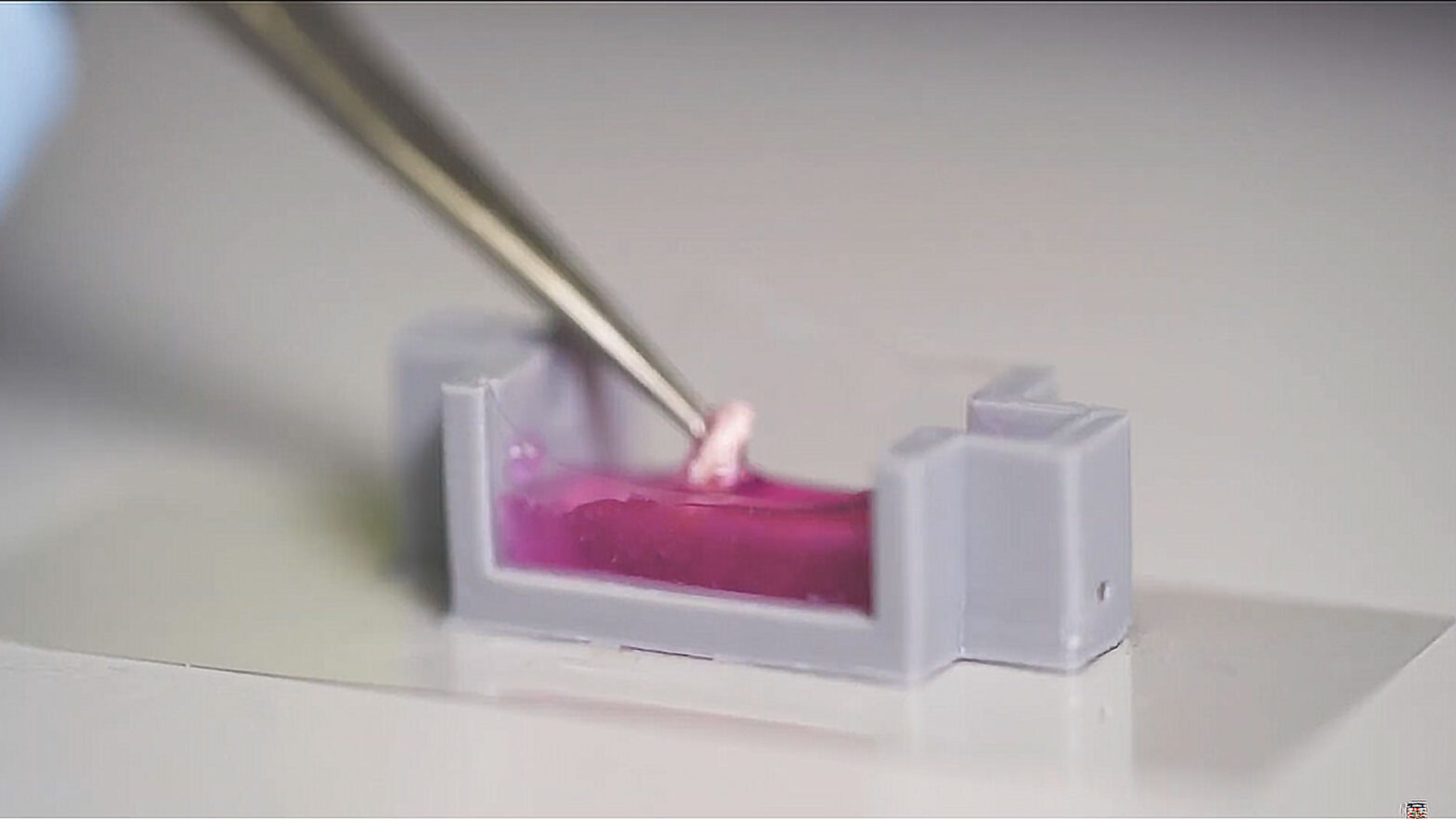 Newly Developed Ink Can Enable 3D Printing Of Bone Directly In The ...