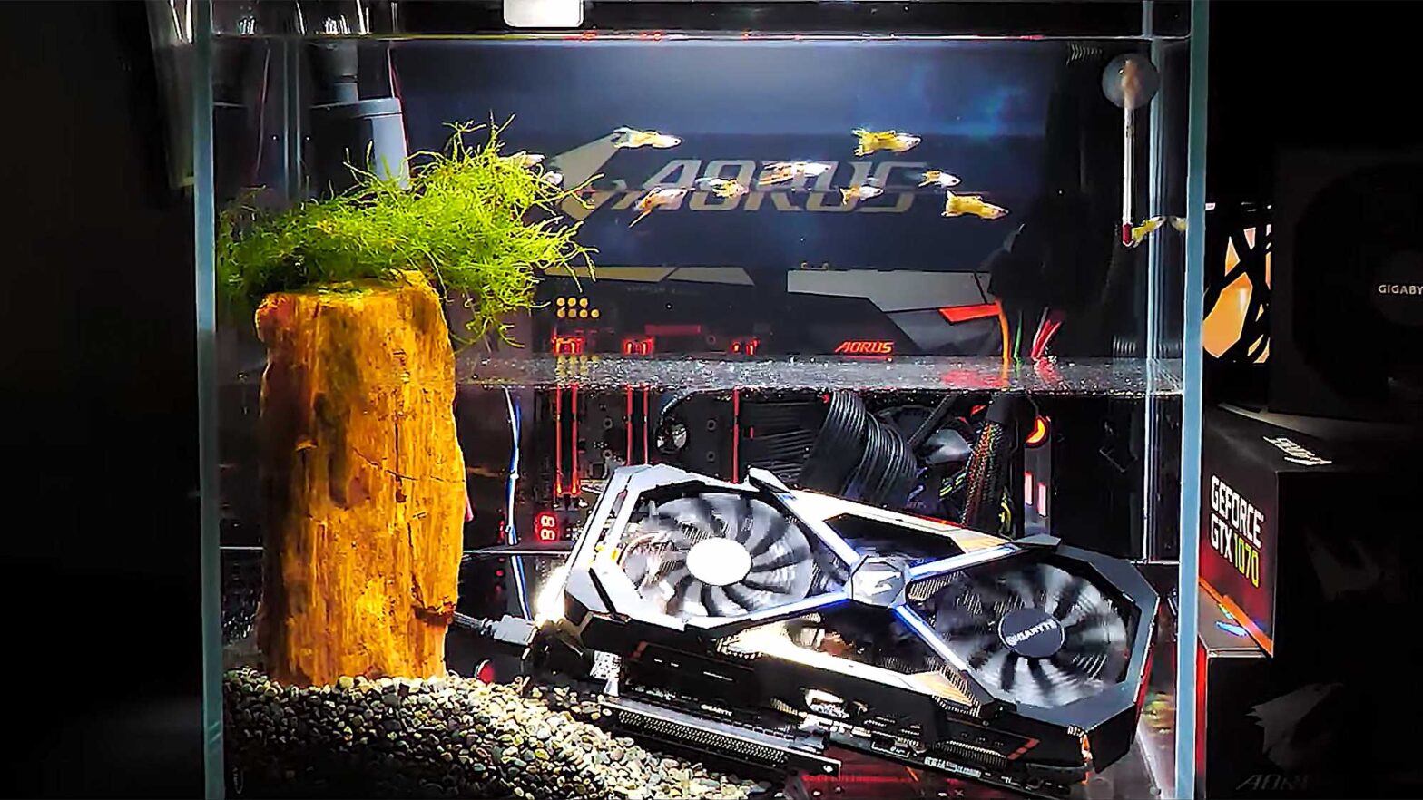 This Custom Fish Tank Personal Computer From 2017 Still Blows My Mind ...