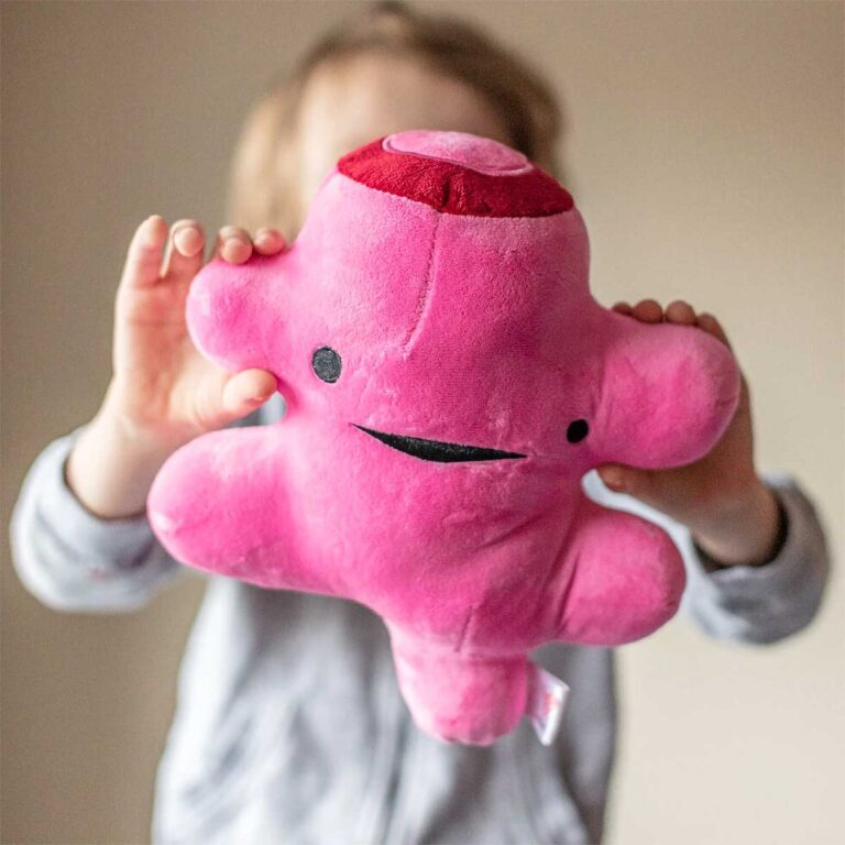 Cute Plush Organs: Human Organs Never Looked This Cute And Huggable