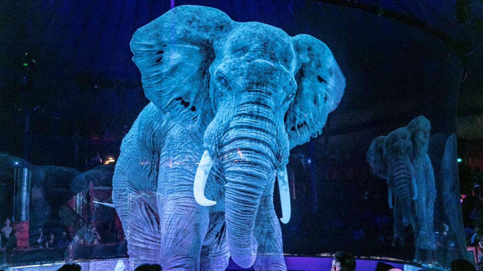 German-based Circus Troupe Uses Hologram Of Animals As Part Of Its ...