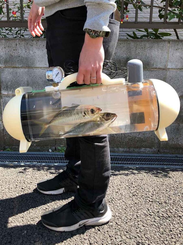 Some People Walk Their Dogs, But Katsugyo Bag Lets You Walk Your Fish ...