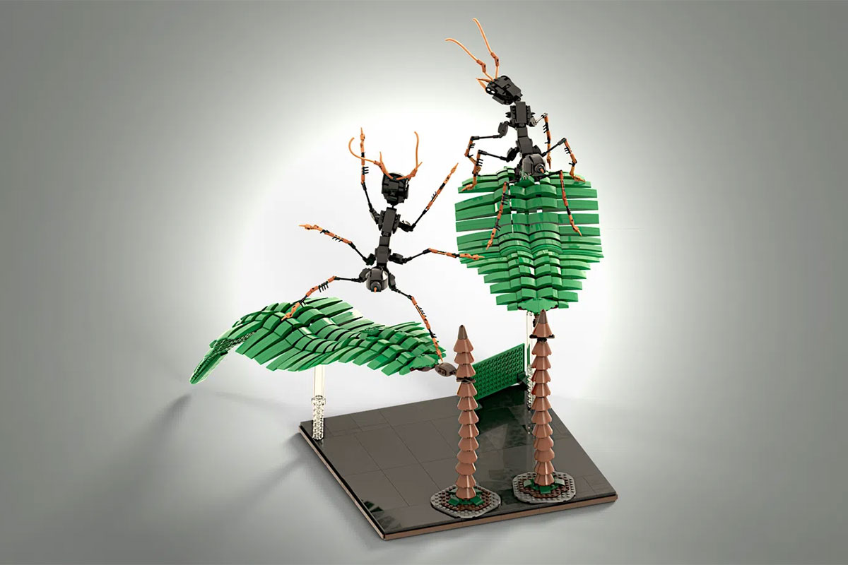 Strangely, I Find Myself Wishing For The LEGO Ideas Jack Jumper Ant To ...