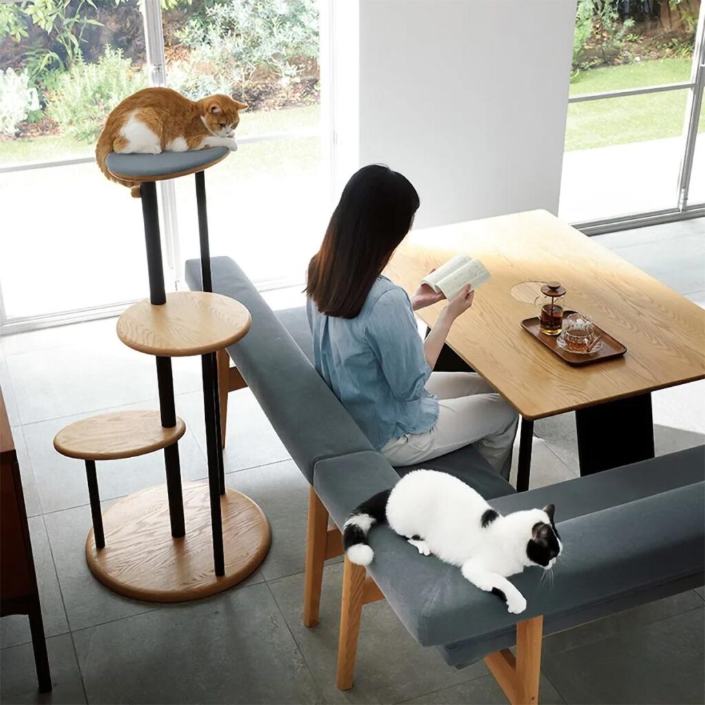This Cat-friendly Table Has A Hole For Kitty To Pop Its Head Out