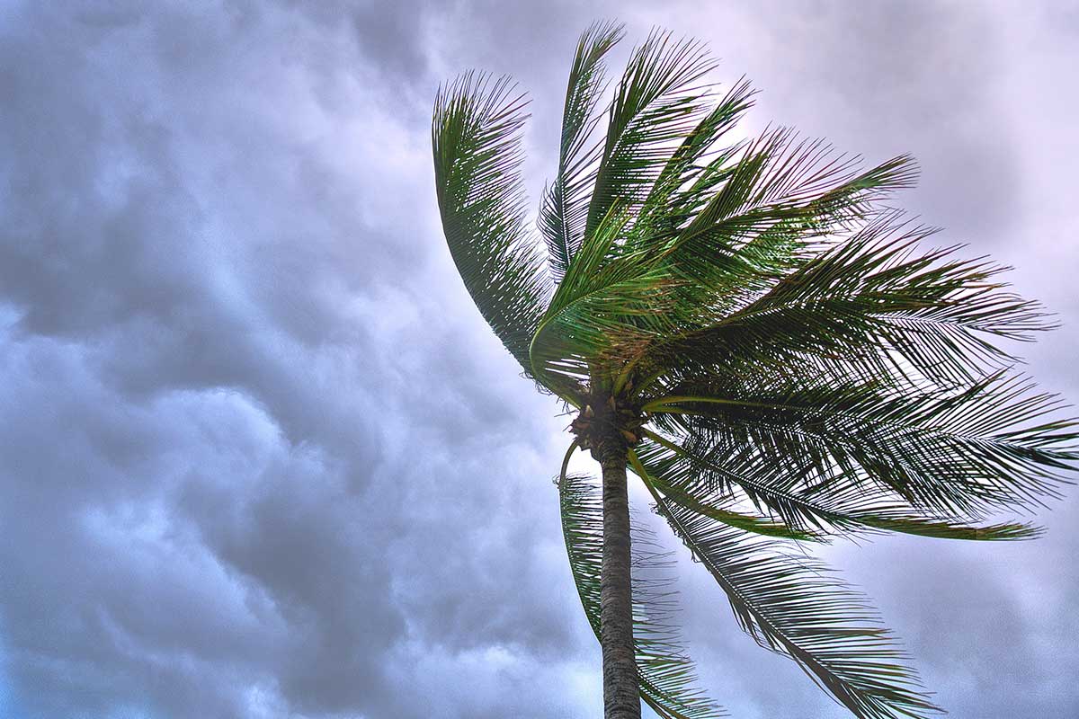 Things To Do On Vacation When The Weather Turns Bad