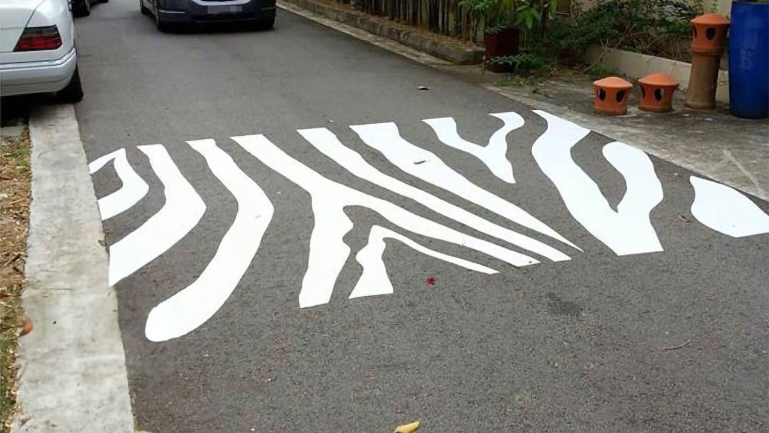 Zebra Crossing That Mimics The Pattern Of Actual Zebra