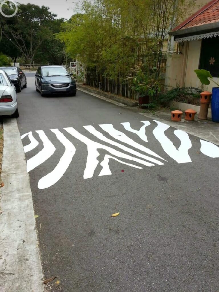 Zebra Crossing That Mimics The Pattern Of Actual Zebra