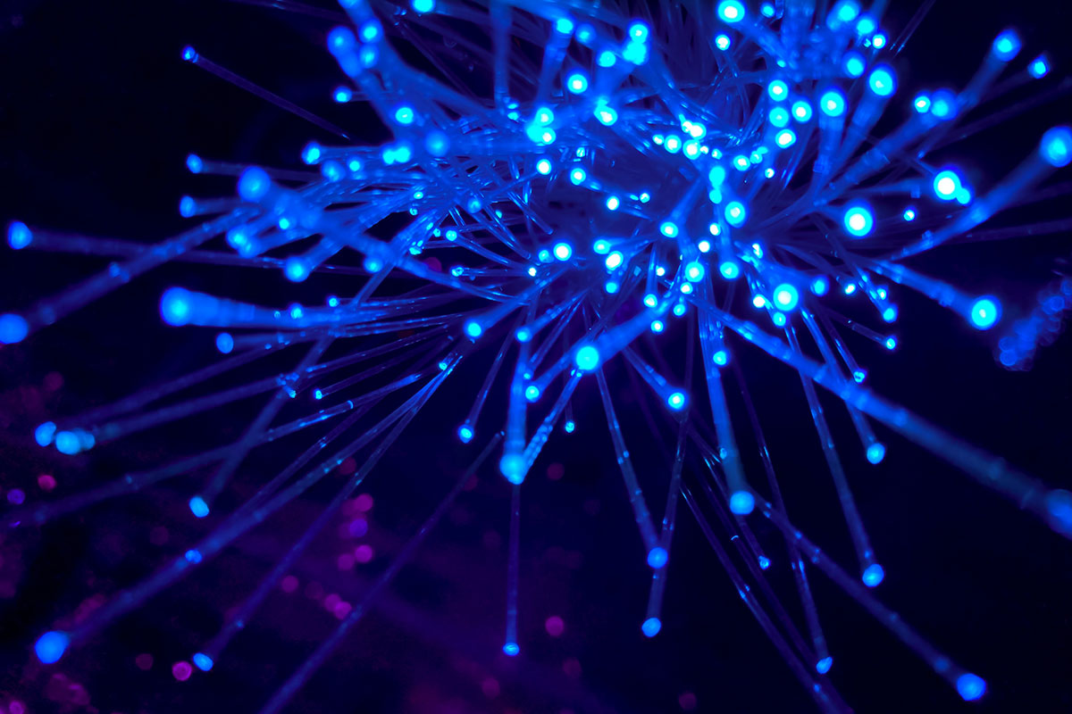 A Quick Rundown Of The Difference Between SLD And LD Light