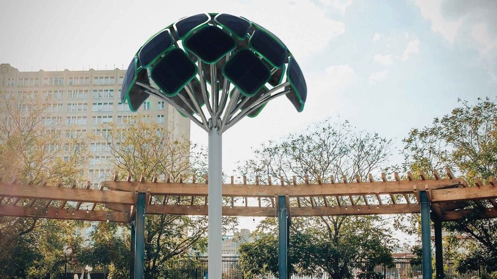 Most Trees Produce Oxygen But This “Tree” Turn Light Energy Into ...