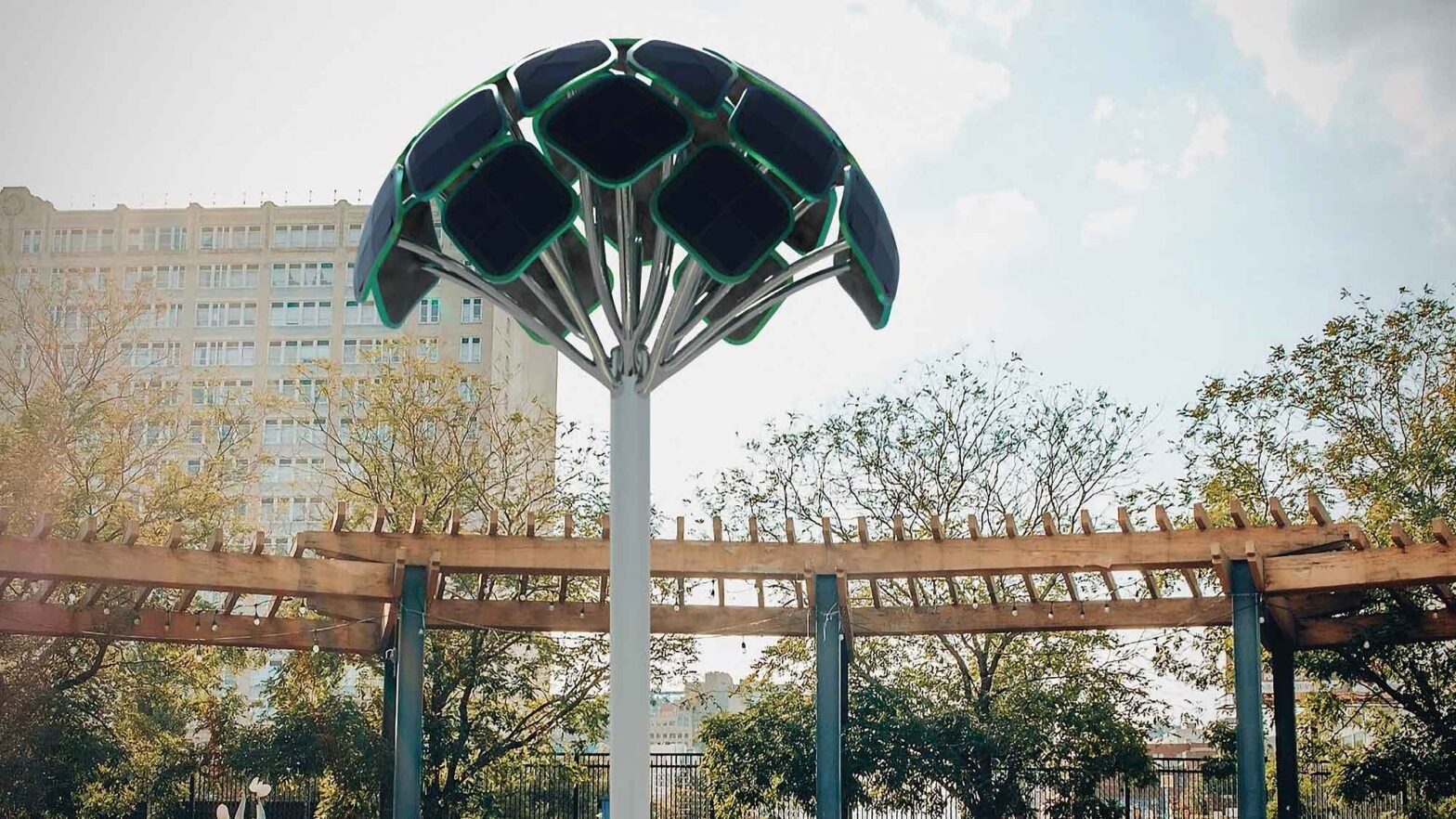 Most Trees Produce Oxygen But This “Tree” Turn Light Energy Into ...