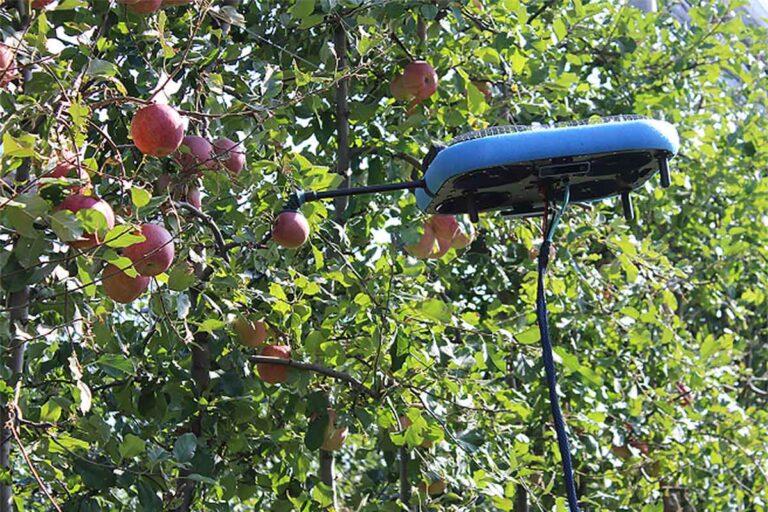 Are Fruit-picking Flying Autonomous Robots Really The Future Of ...
