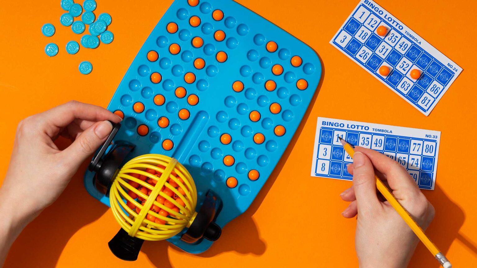 The Rebirth Of Bingo the-rebirth-of-bingo