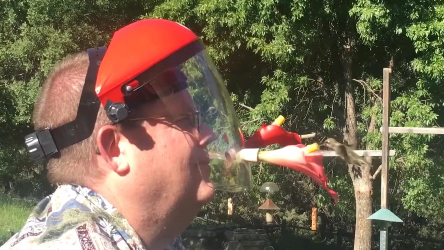 HummViewer Lets You See Hummingbird Feeding Up Close (Very, Very Close!)