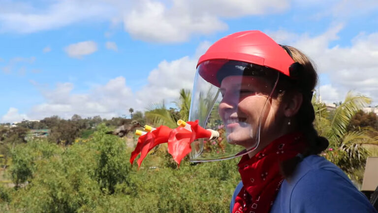 HummViewer Lets You See Hummingbird Feeding Up Close (Very, Very Close!)