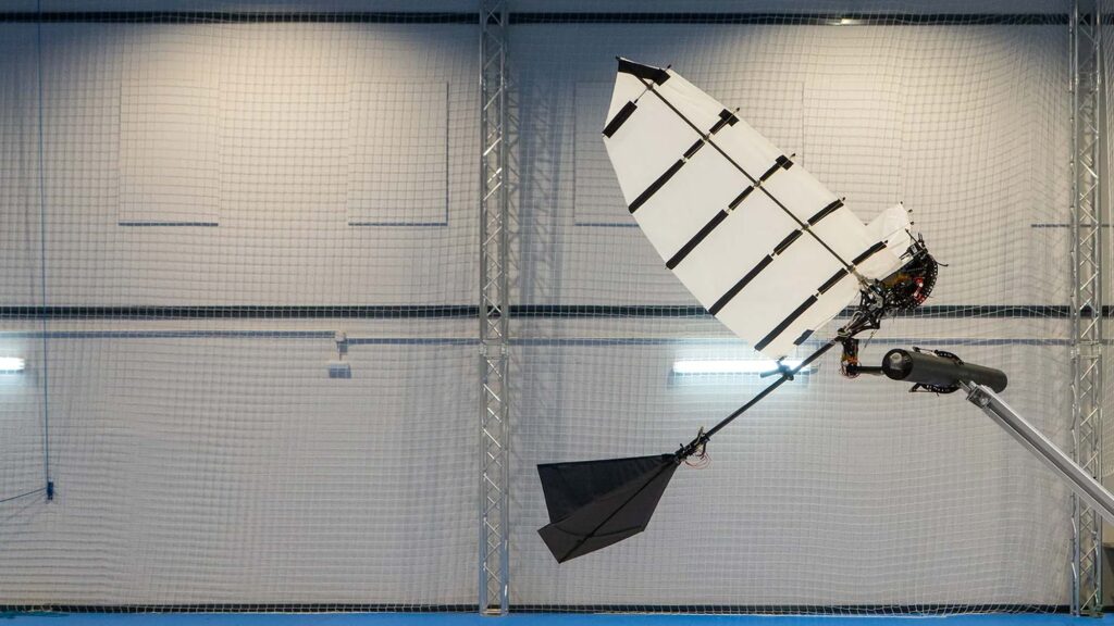 Watch Ornithopter Bot-Bird Made Successful Perches