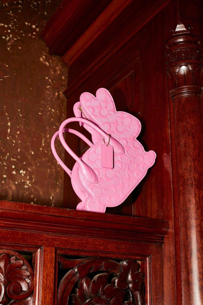 Coach Breaks Bag Design Convention By Adopting Everyday Shapes For ...