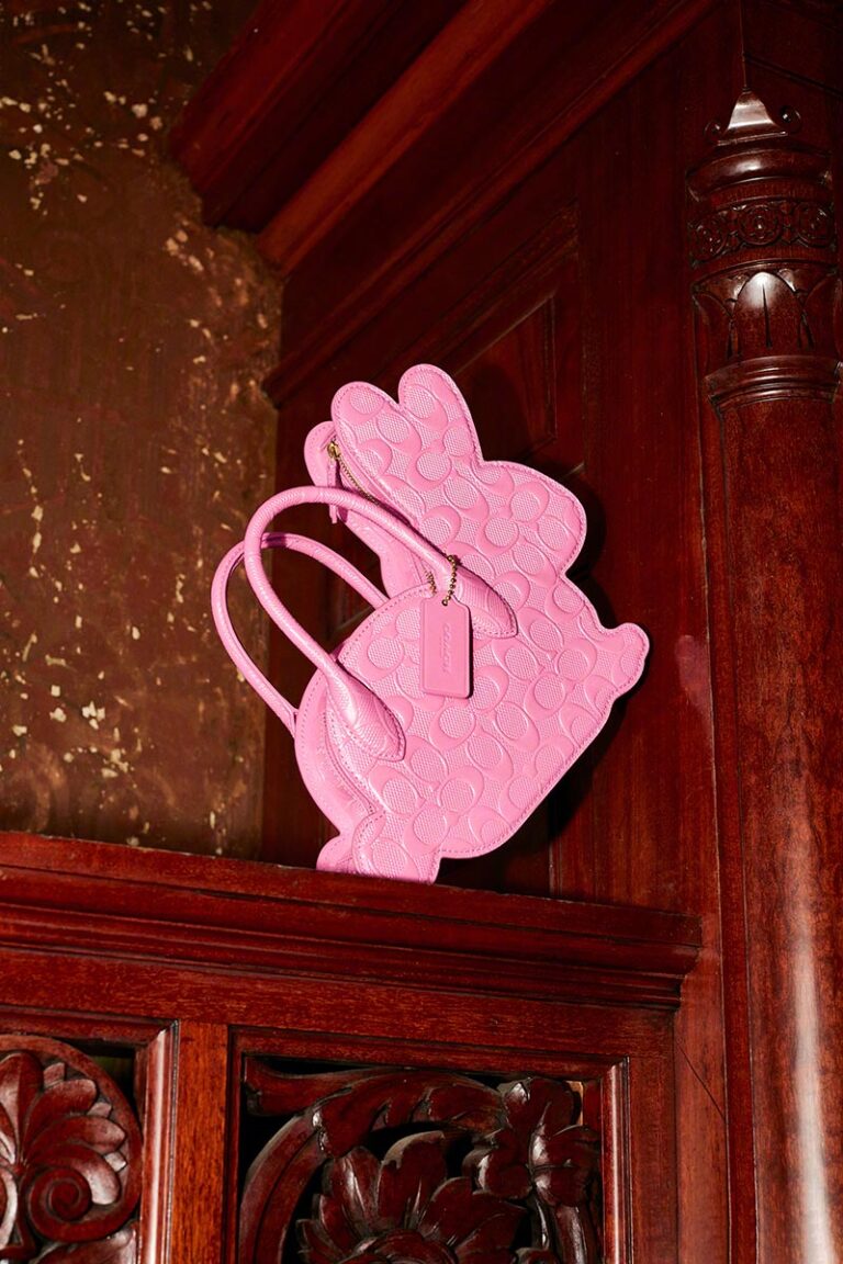 Coach Breaks Bag Design Convention By Adopting Everyday Shapes For ...