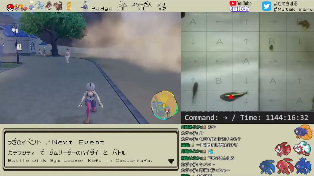 In Japan, Pet Fish Plays Nintendo Switch And Somehow Managed To Shop ...