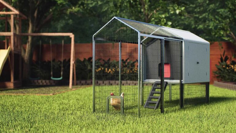 Coop Smart Backyard Chicken Coop: It’s A Futuristic Chicken Coop!