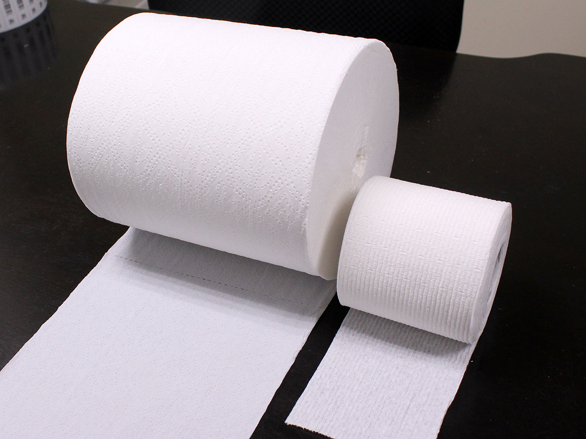 Wide Load TP 500 Foot Roll + Box: Toilet Paper Of Gigantic Proportion
