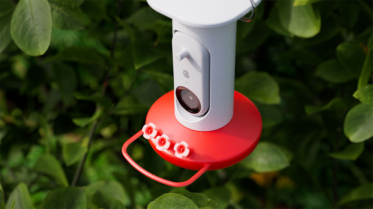 Bird Buddy Smart Hummingbird Feeder Is Like Your Personal Hummingbird ...