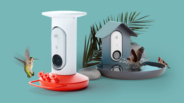 Bird Buddy Smart Hummingbird Feeder Is Like Your Personal Hummingbird ...