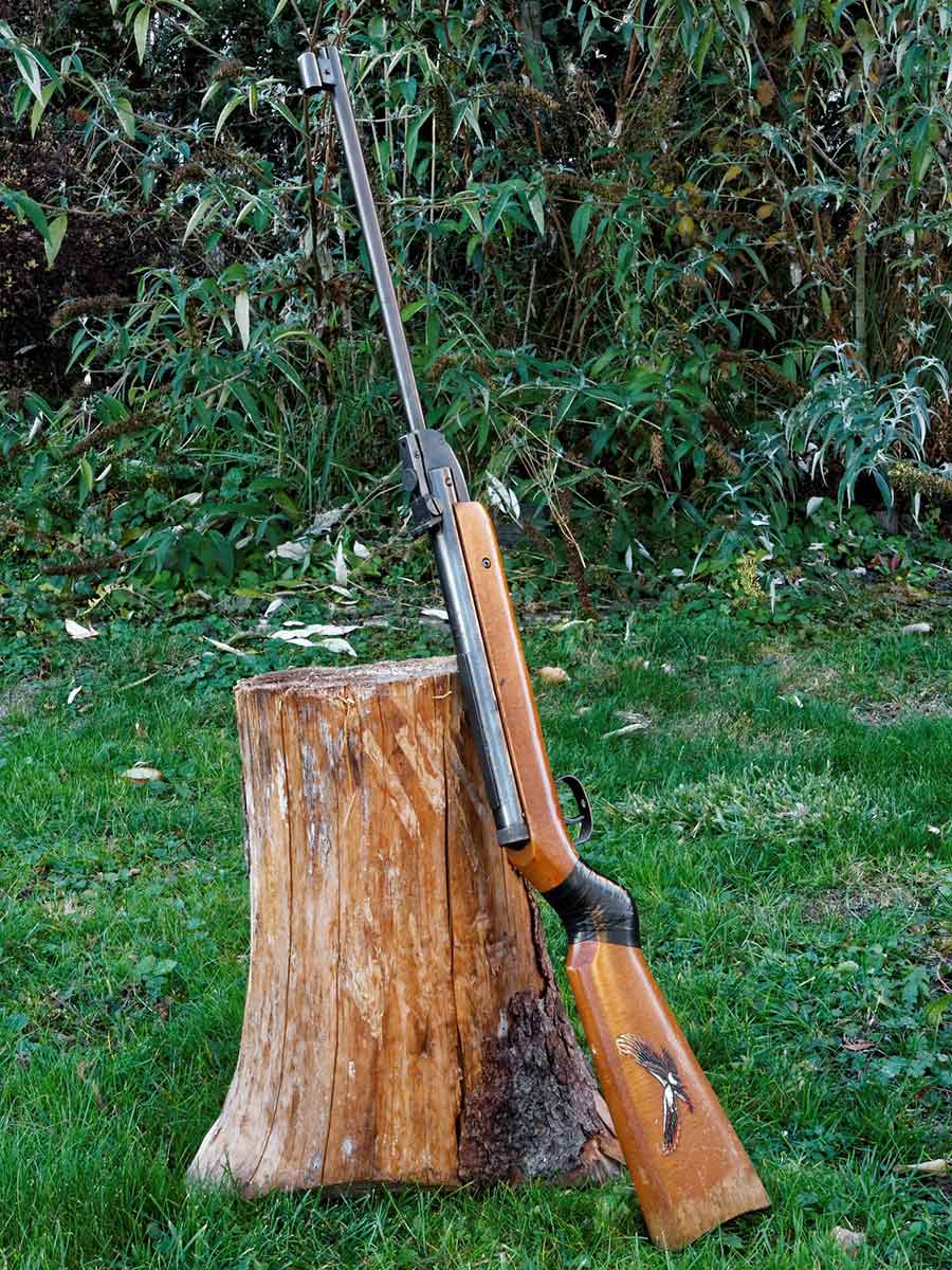 How To Choose The Right Air Gun For Your Survival Kit