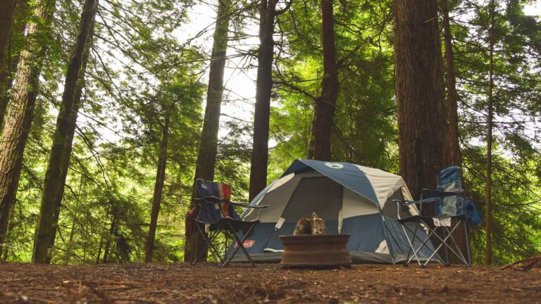 The Dangers Of Camping In The Wilderness And How To Handle Them