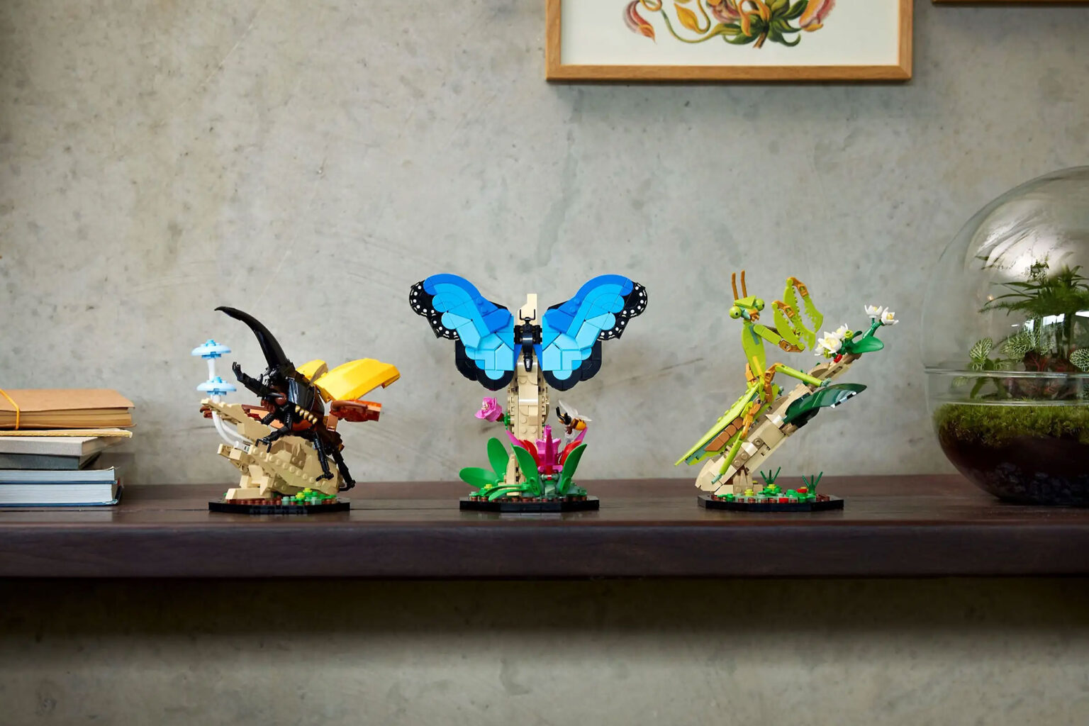 LEGO Ideas The Insect Collection (21342) Set Officially List And It ...