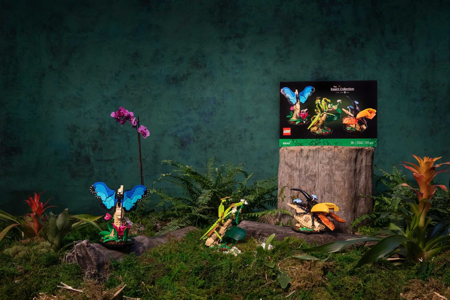 LEGO Ideas The Insect Collection (21342) Set Officially List And It ...