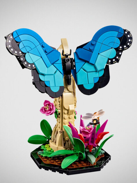 LEGO Ideas The Insect Collection (21342) Set Officially List And It ...