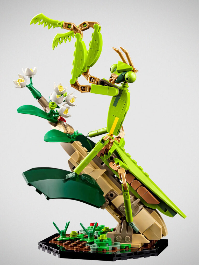LEGO Ideas The Insect Collection (21342) Set Officially List And It ...