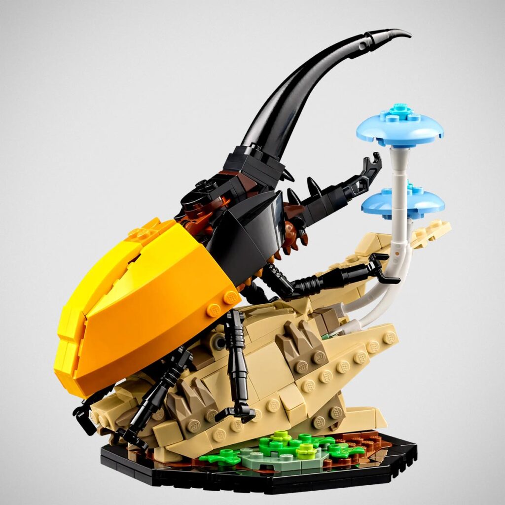LEGO Ideas The Insect Collection (21342) Set Officially List And It ...