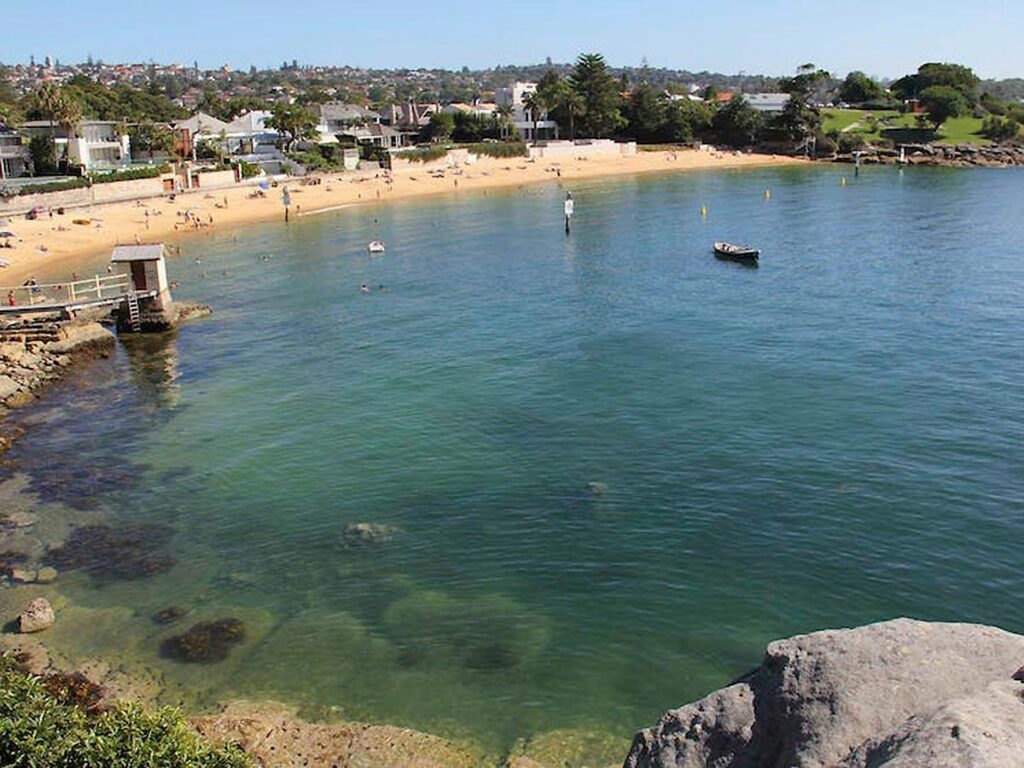 Discover The Depths: A Guide To Sydney’s Best Shore Dives For All Skill ...