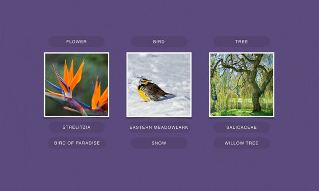 Image Recognition With AI: Benefits, Applications, And Challenges