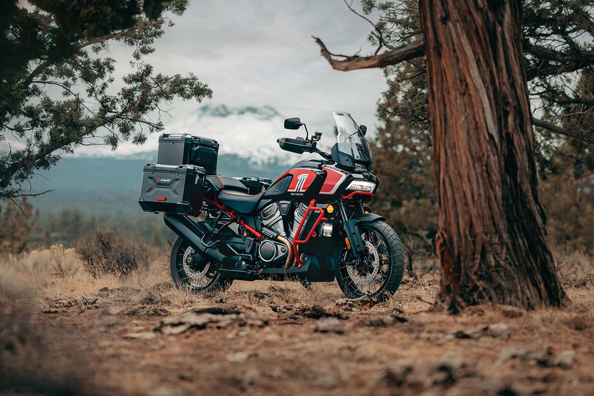Harley-Davidson Welcomes The New Year With Four New 2024 Motorcycle ...