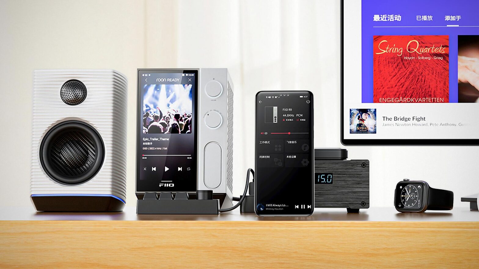 FiiO R9 Flagship All-In-One Digital Media Streamer: The Digital Media ...