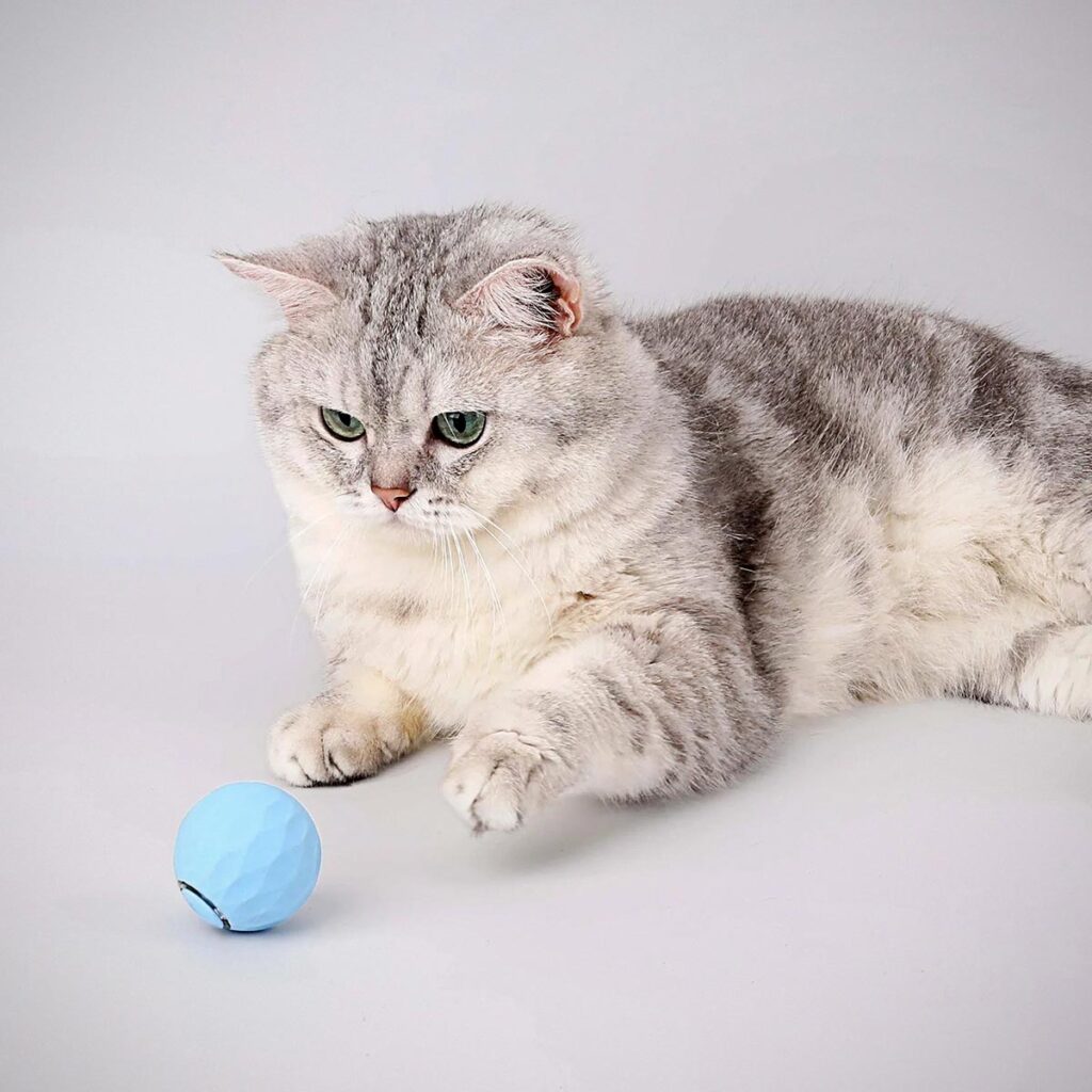 WLOOM Power Ball 2.0 Smart Toy For Cats Behaves Like A Prey, Brings Out ...