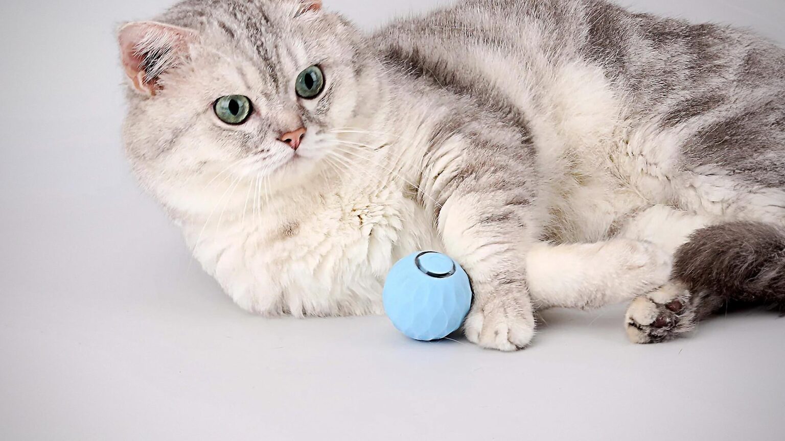 WLOOM Power Ball 2.0 Smart Toy For Cats Behaves Like A Prey, Brings Out ...