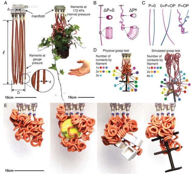 This Jellyfish-inspired Robotic Gripper Has Tentacles For Picking Up Fragile And Odd Shaped ...