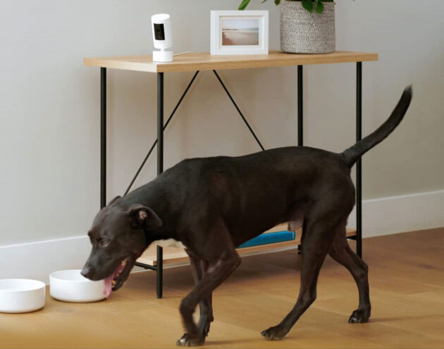 The New Ring Pan-Tilt Indoor Cam (2nd Gen) Offers 360 Degrees Of Coverage