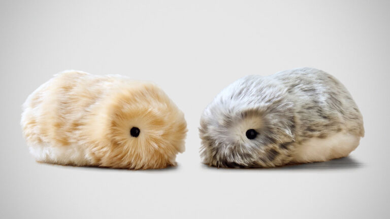 Casio Is Not Just About Timekeeping; It Is Now Also Has An AI Pet Robot ...