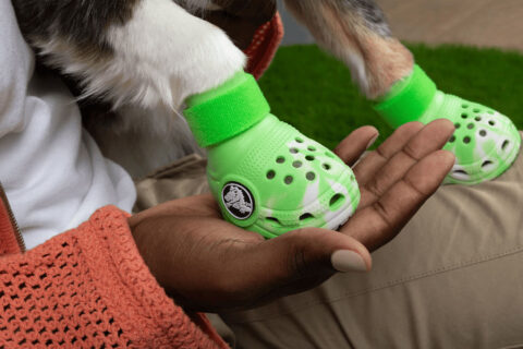 Crocs x BARK Pet Crocs Boots: Well, It’s Just Crocs For Dogs
