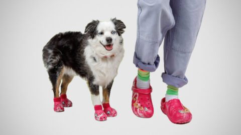 Crocs x BARK Pet Crocs Boots: Well, It’s Just Crocs For Dogs