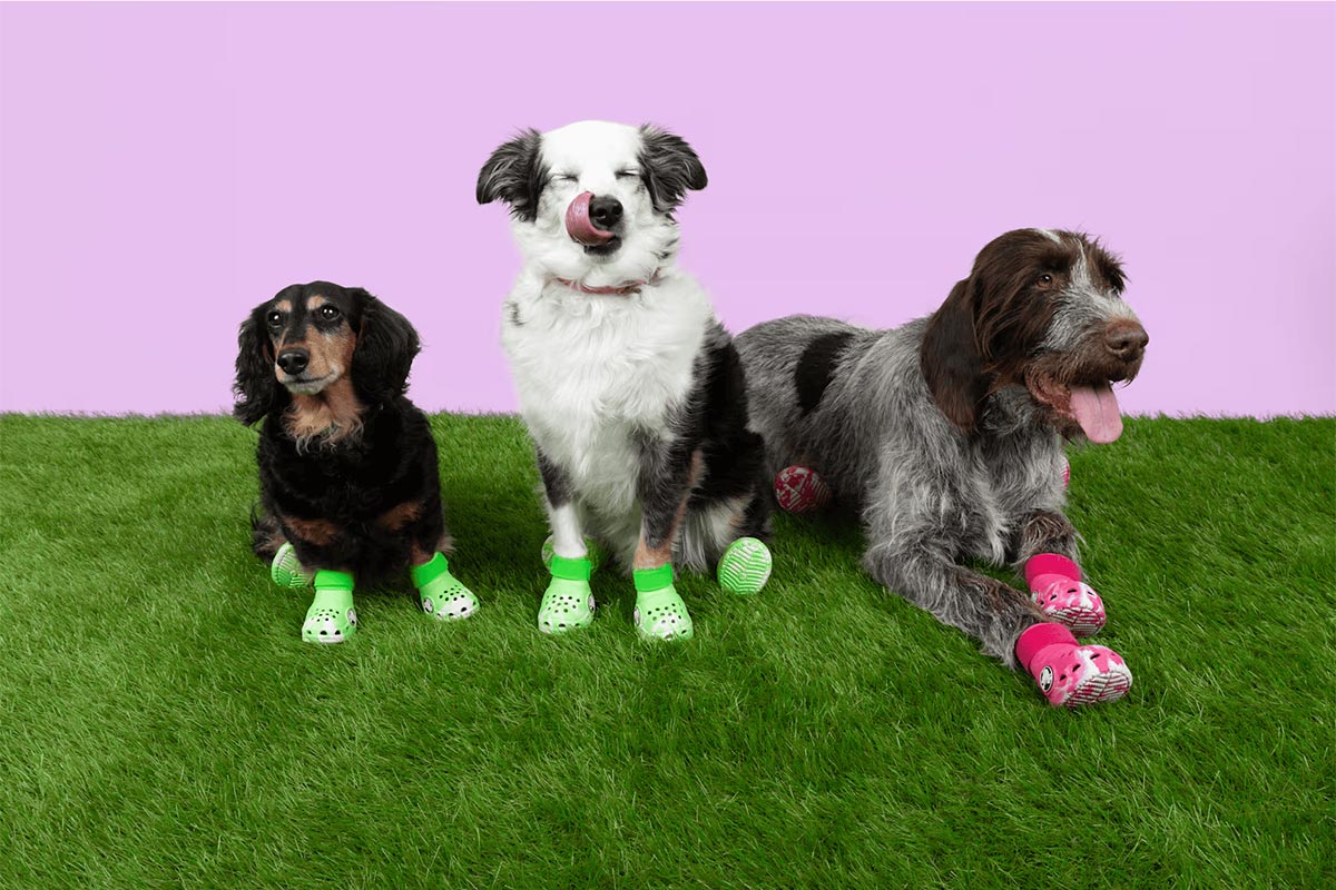 Crocs x BARK Pet Crocs Boots: Well, It’s Just Crocs For Dogs