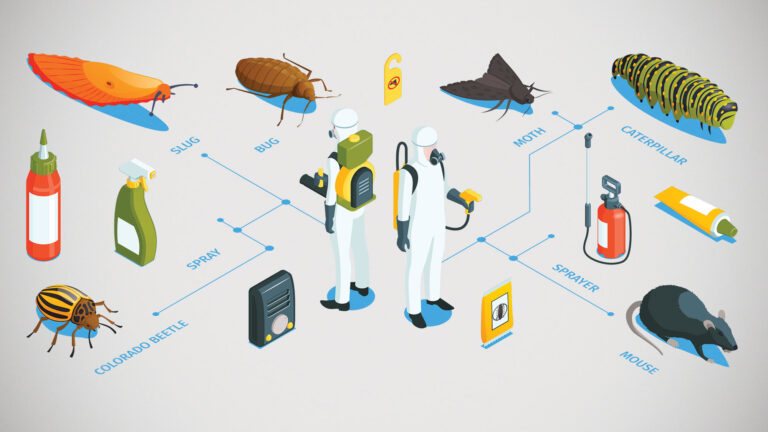 How To Choose The Right Emergency Pest Control Solutions For Your Home