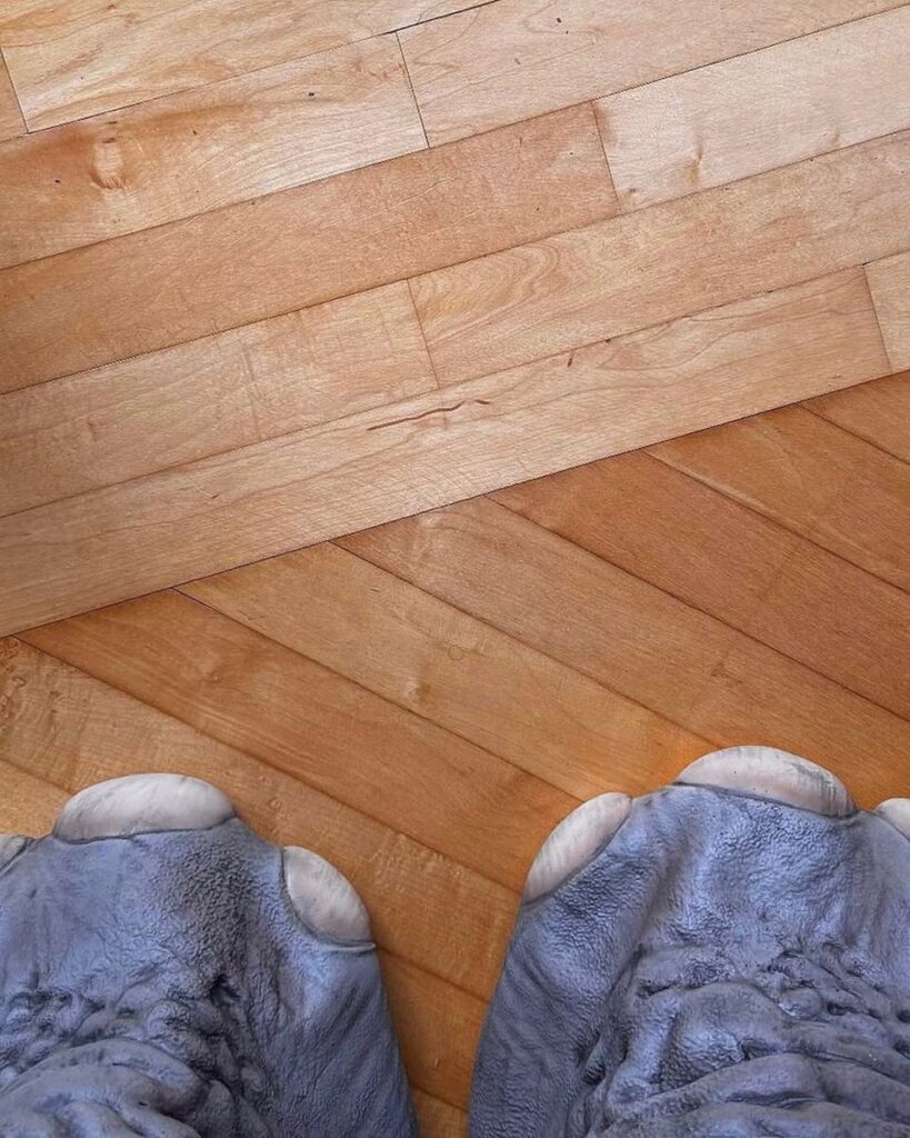 Step Aside, Normal Shoes: Imran Potato’s Elephant Feet Shoes Are ...