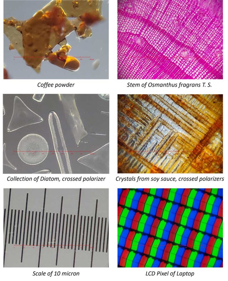 iMicro Q3p Will Turn Your Smartphone Into A Very Powerful Microscope!