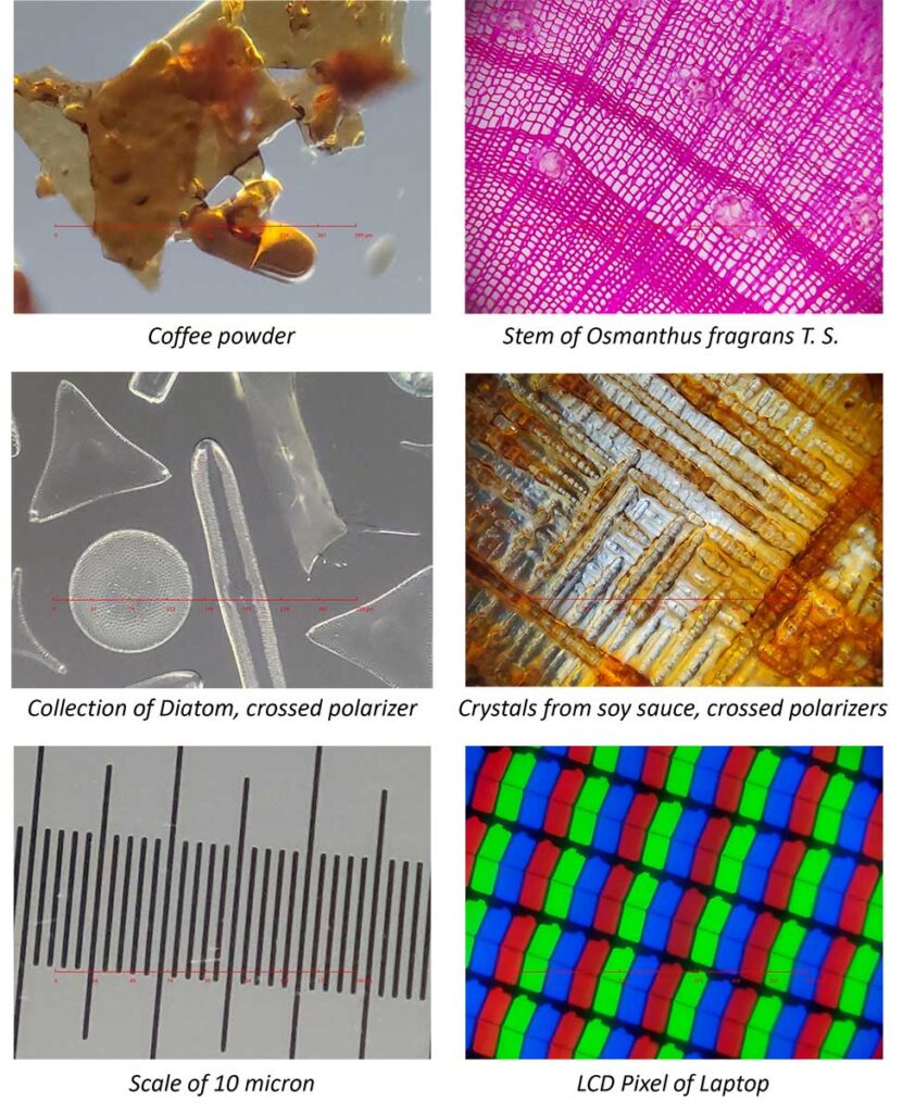 iMicro Q3p Will Turn Your Smartphone Into A Very Powerful Microscope!