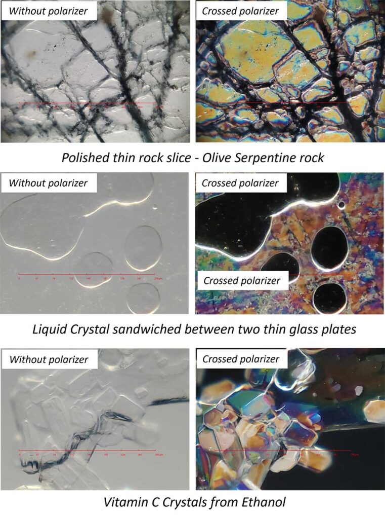 iMicro Q3p Will Turn Your Smartphone Into A Very Powerful Microscope!